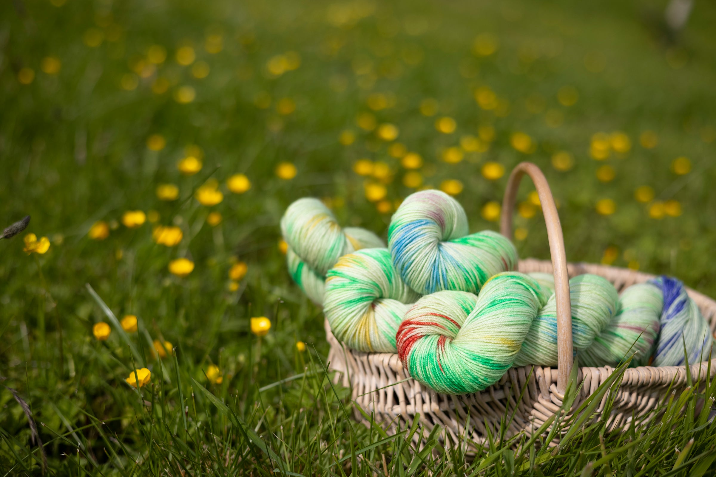 Wild Atlantic Yarns | Yarn Store | Knitting, Crochet and Spinning